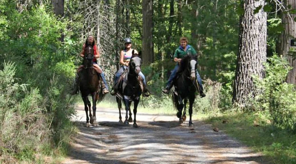 GDETF | Georgetown Divide Equestrian Trails Foundation